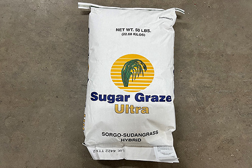 turnerseed: Sorghum Sudangrass Hybrid - Sugar Graze Ultra